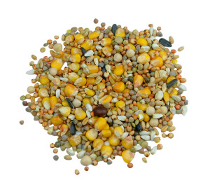 MEZCLA PARA AVES | Planet Shop