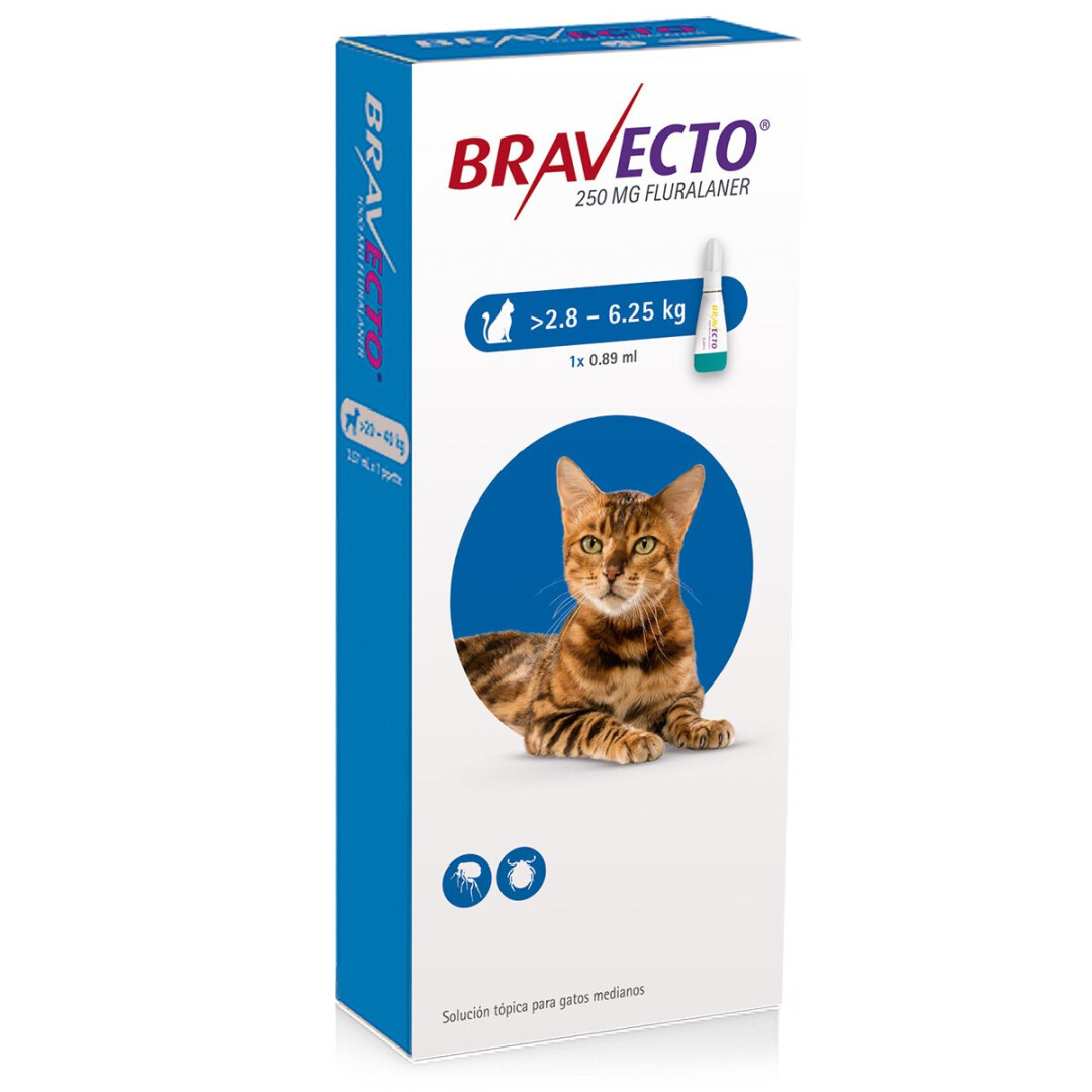 BRAVECTO SPOT ON GATO MEDIANO 2.8-6.25 KG | Planet Shop